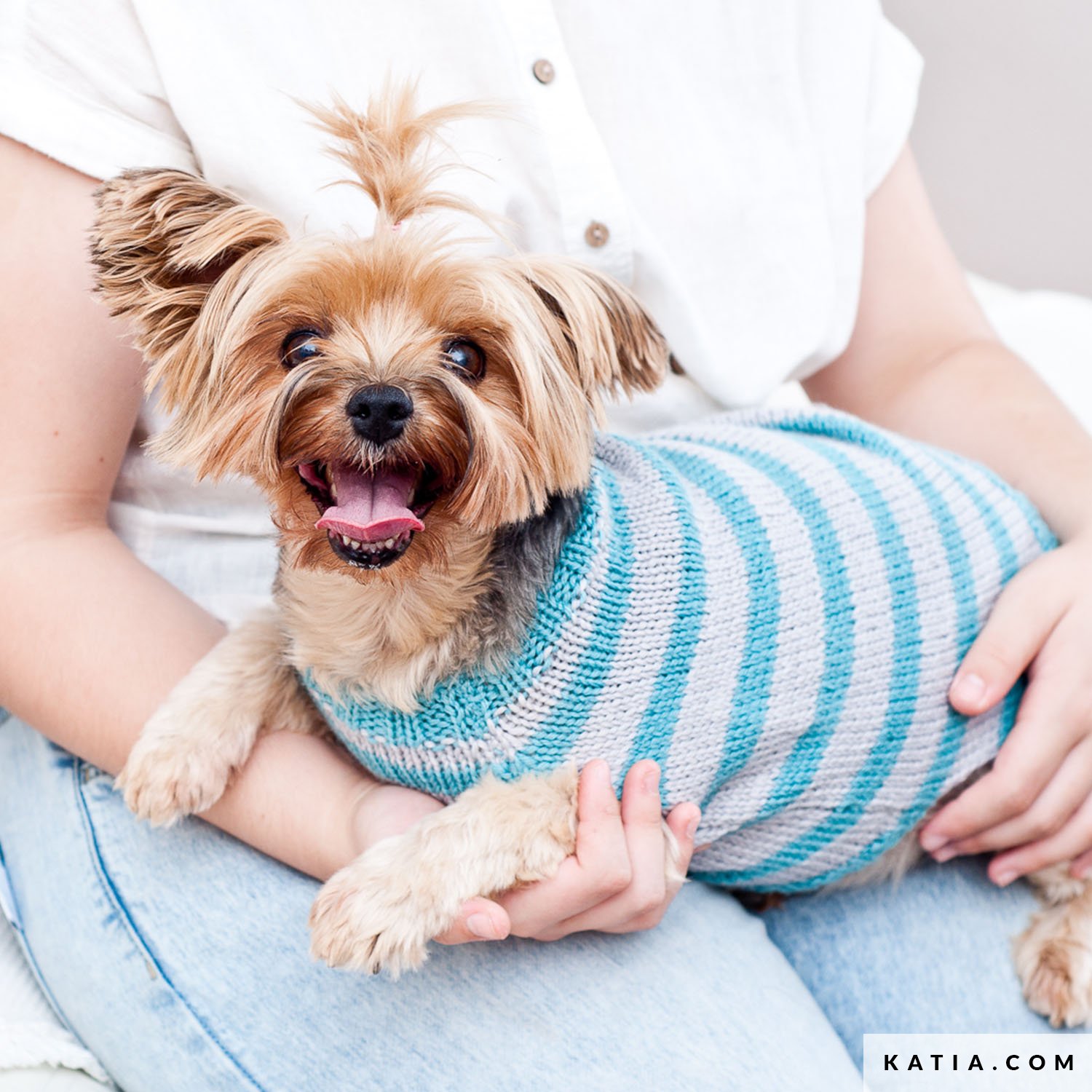 Sweater Knit Pattern For Yorkie
